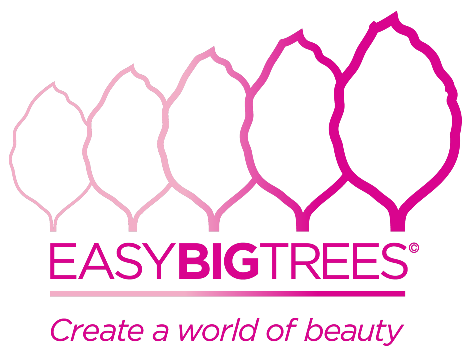 NZ Native Trees and Shrubs | Easy Big Trees New Zealand