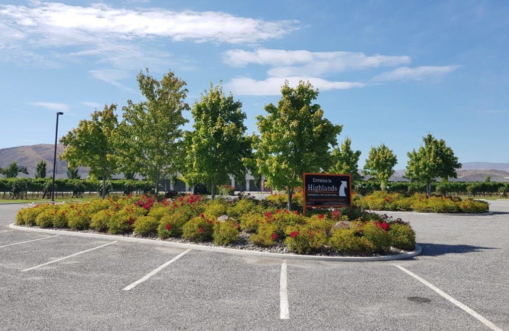 ACER Jeffers Red | Freemans Maple | Easy Big Trees NZ