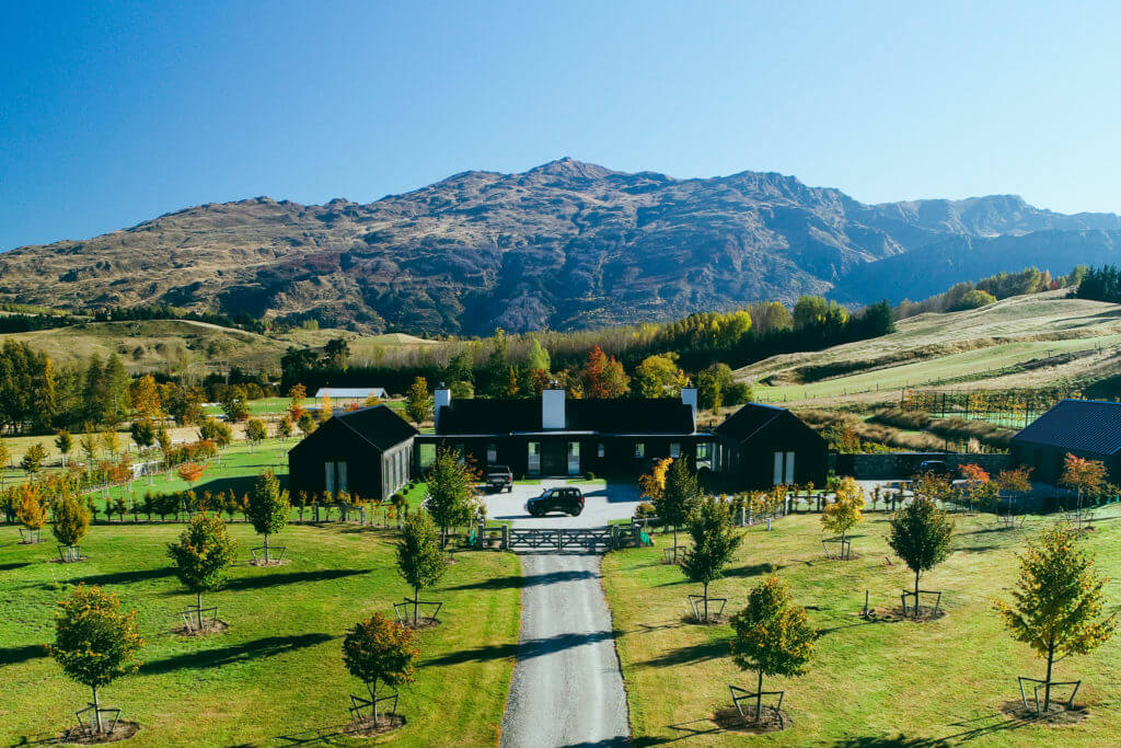 Evergreen NZ Native Trees & Plant Nursery Auckland | Easy Big Trees