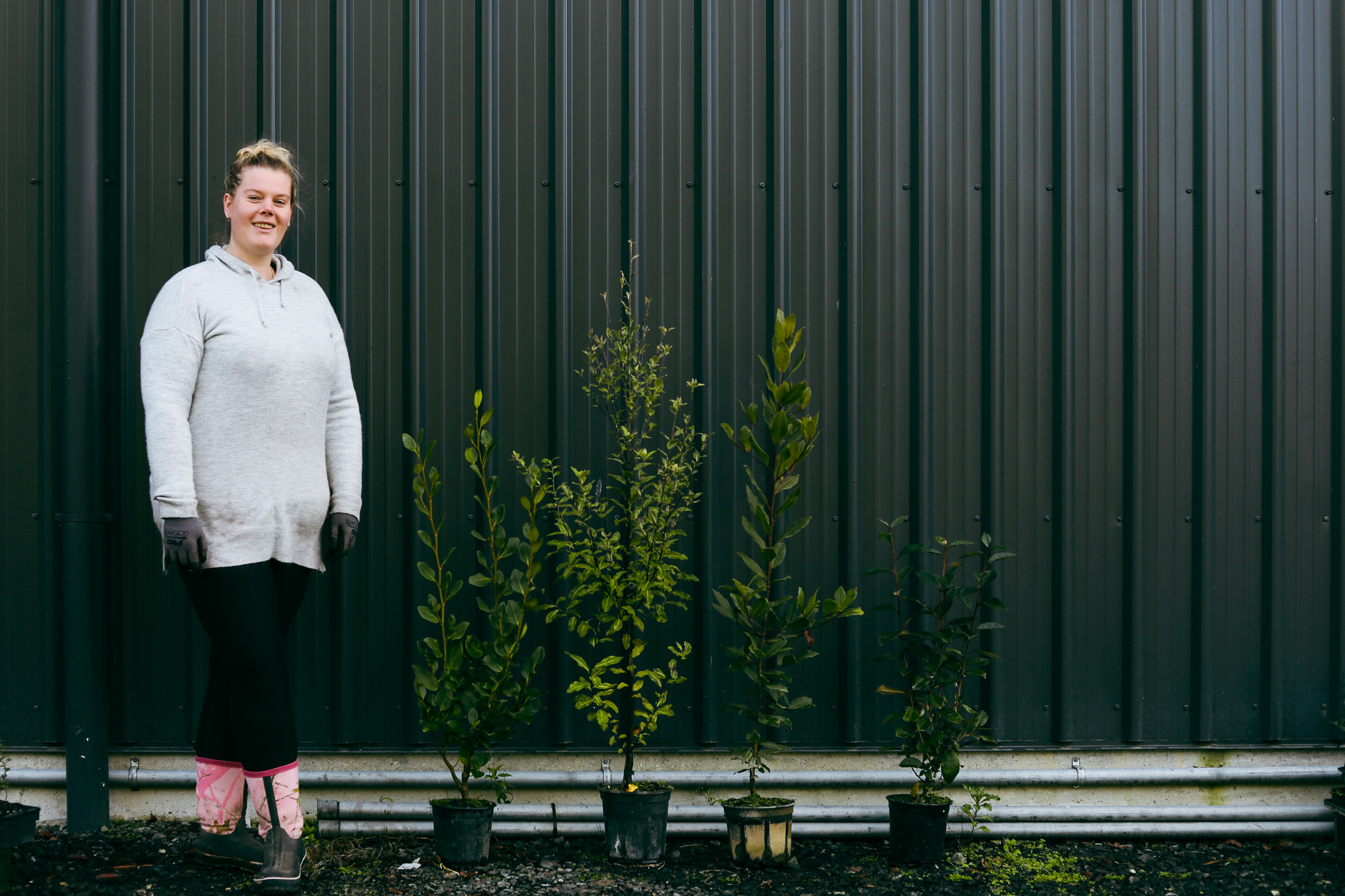 Small Trees 🌱 - Easy Big Trees | New Zealand