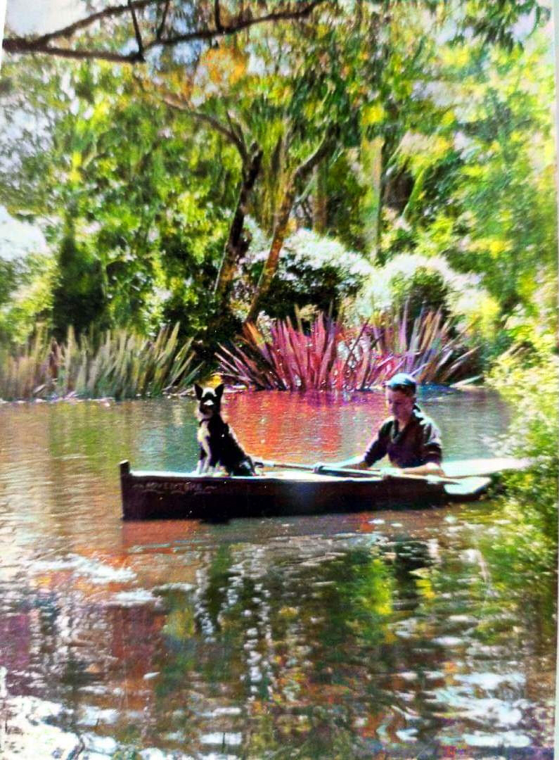 Lennel History - Part 1 - Easy Big Trees