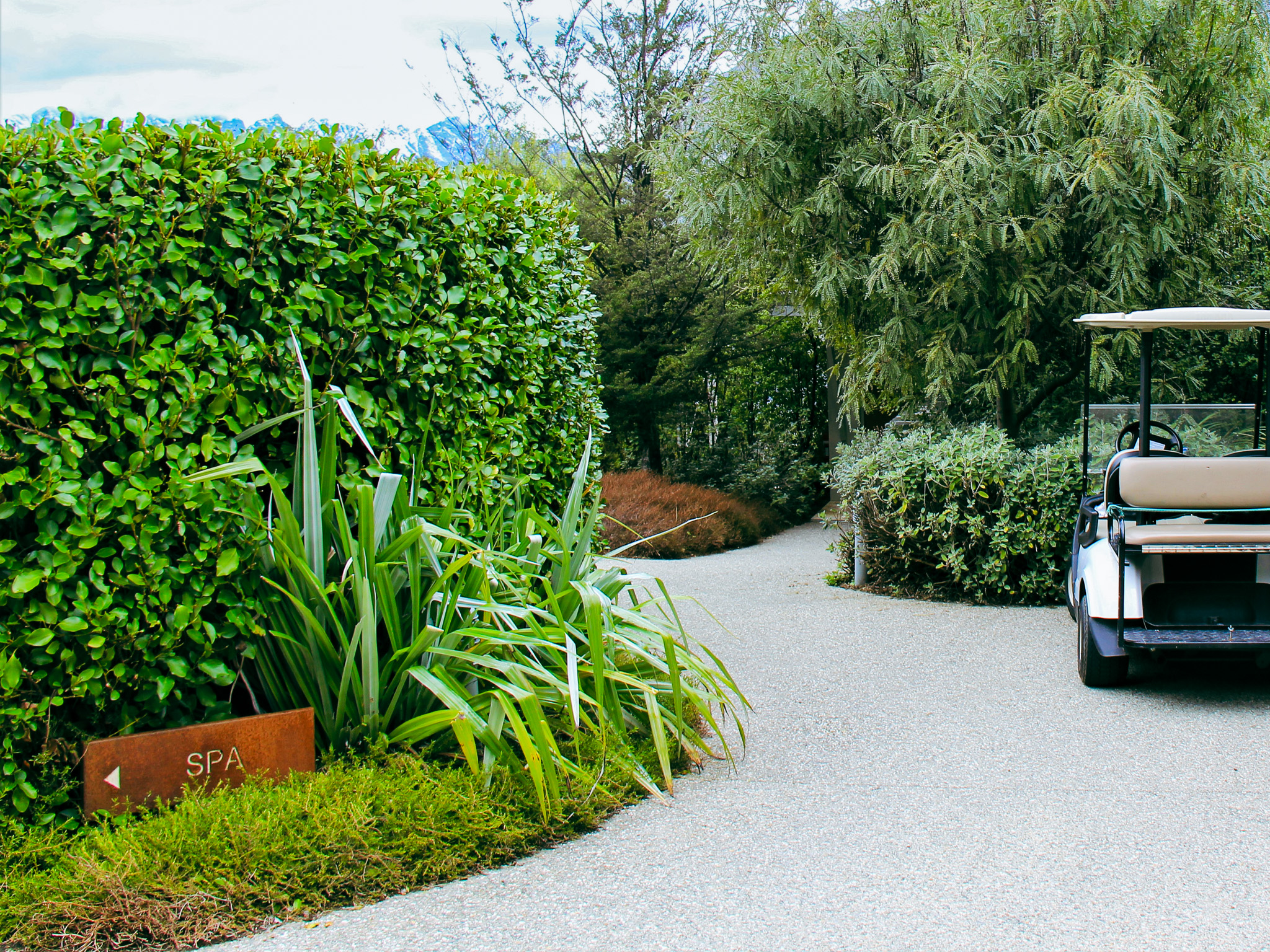 Hedging Projects | Easy Big Trees | New Zealand