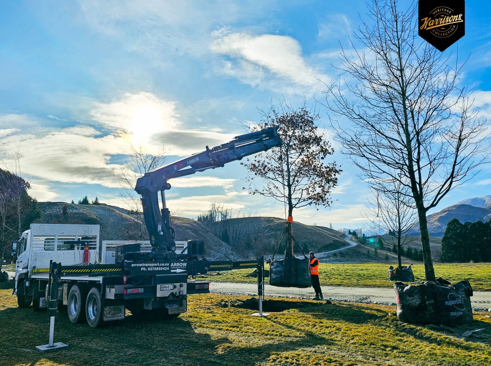 Heritage Edition | English Oak | Easy Big Trees | New Zealand