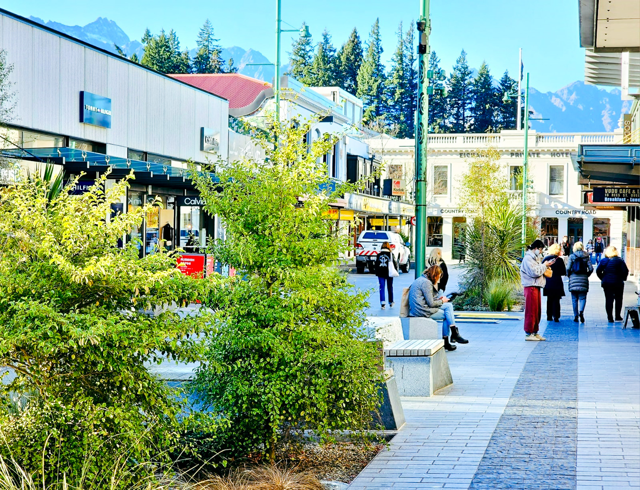 Ashburton Streetscape | Easy Big Trees | New Zealand