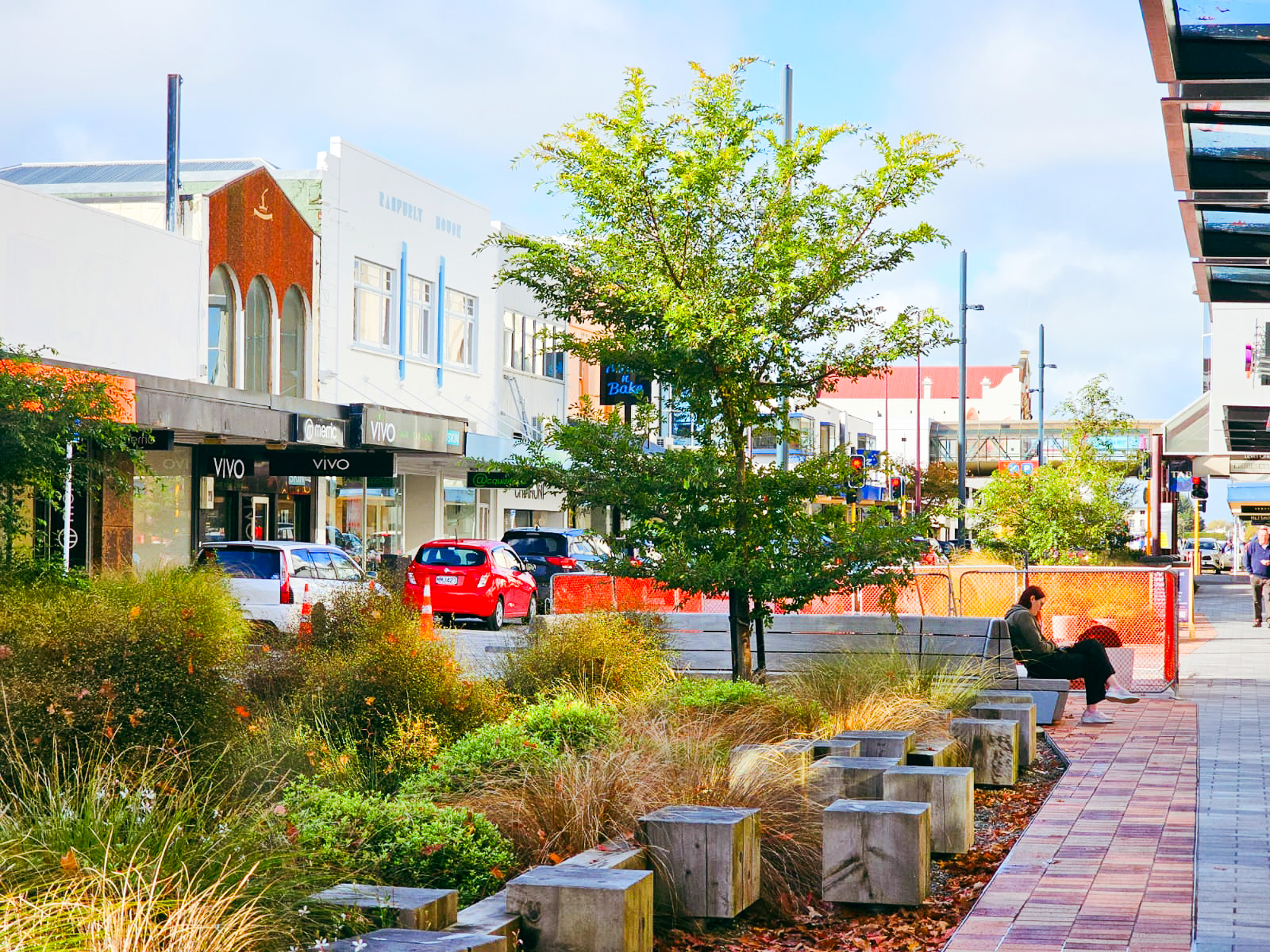 Queenstown Streetscape | Easy Big Trees | New Zealand