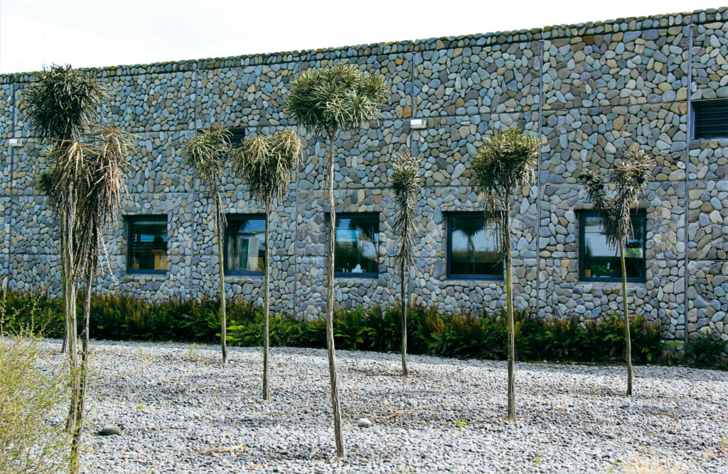 Rolleston Streetscape | Easy Big Trees New Zealand