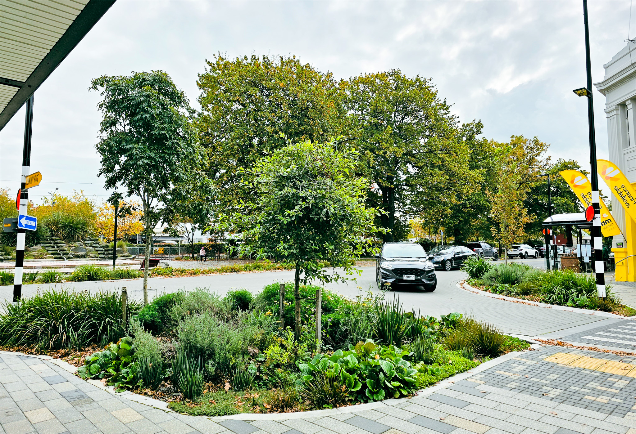 Ashburton Streetscape | Easy Big Trees | New Zealand