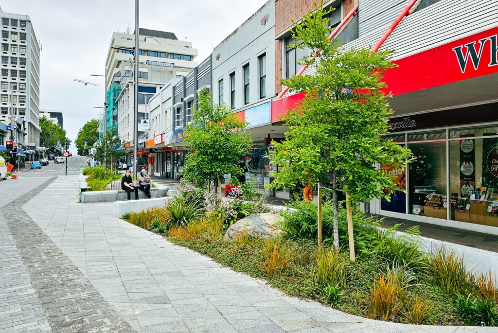 Dunedin Streetscape | Easy Big Trees| New Zealand