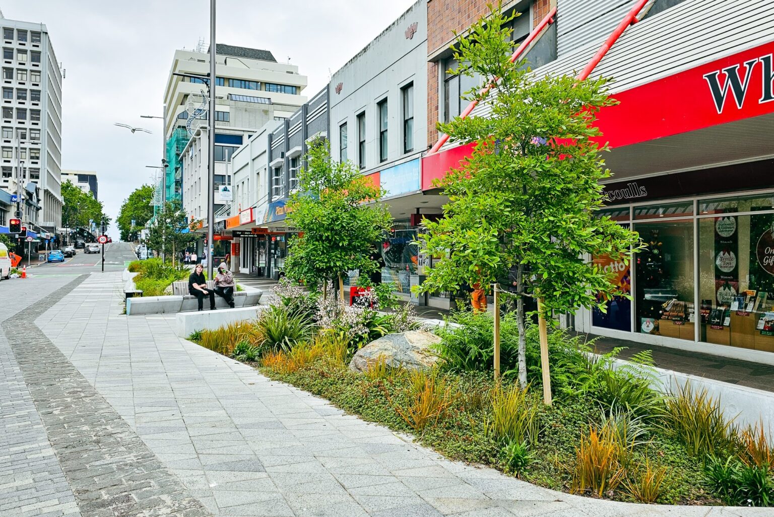 Dunedin Streetscape | Easy Big Trees| New Zealand