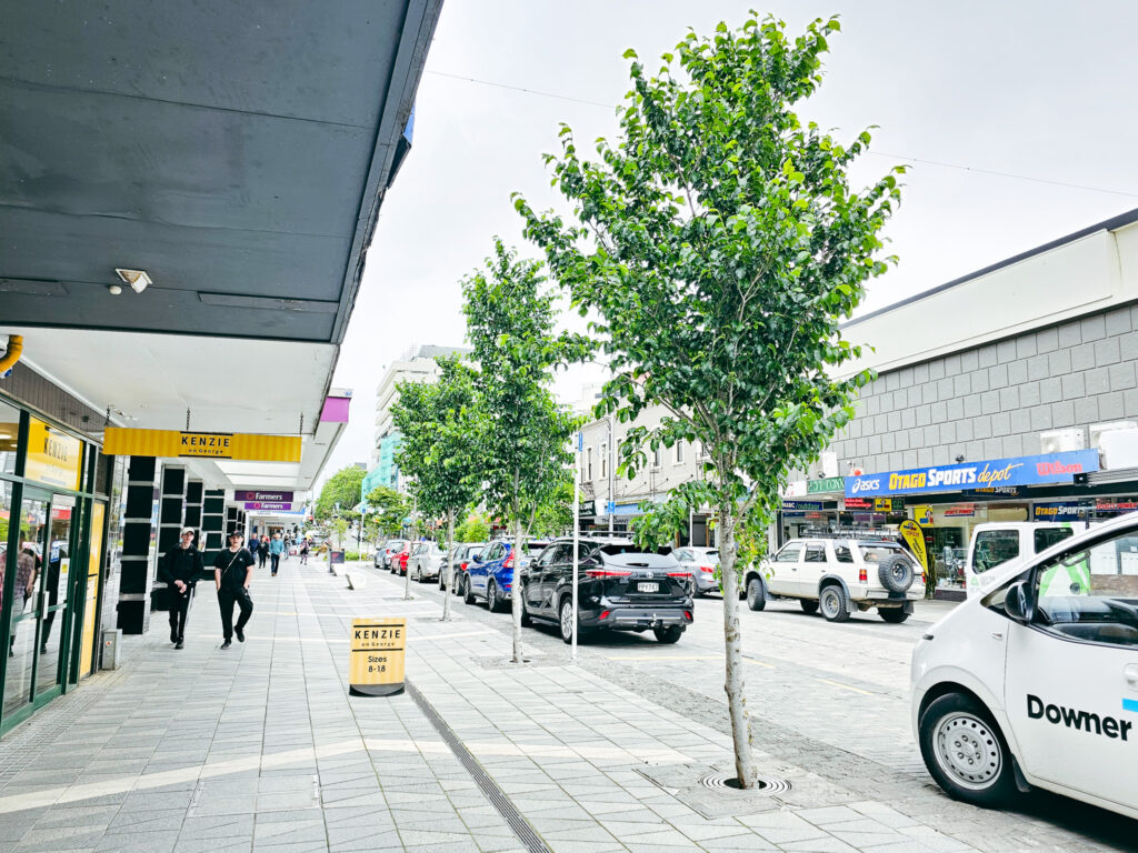 Dunedin Streetscape | Easy Big Trees| New Zealand