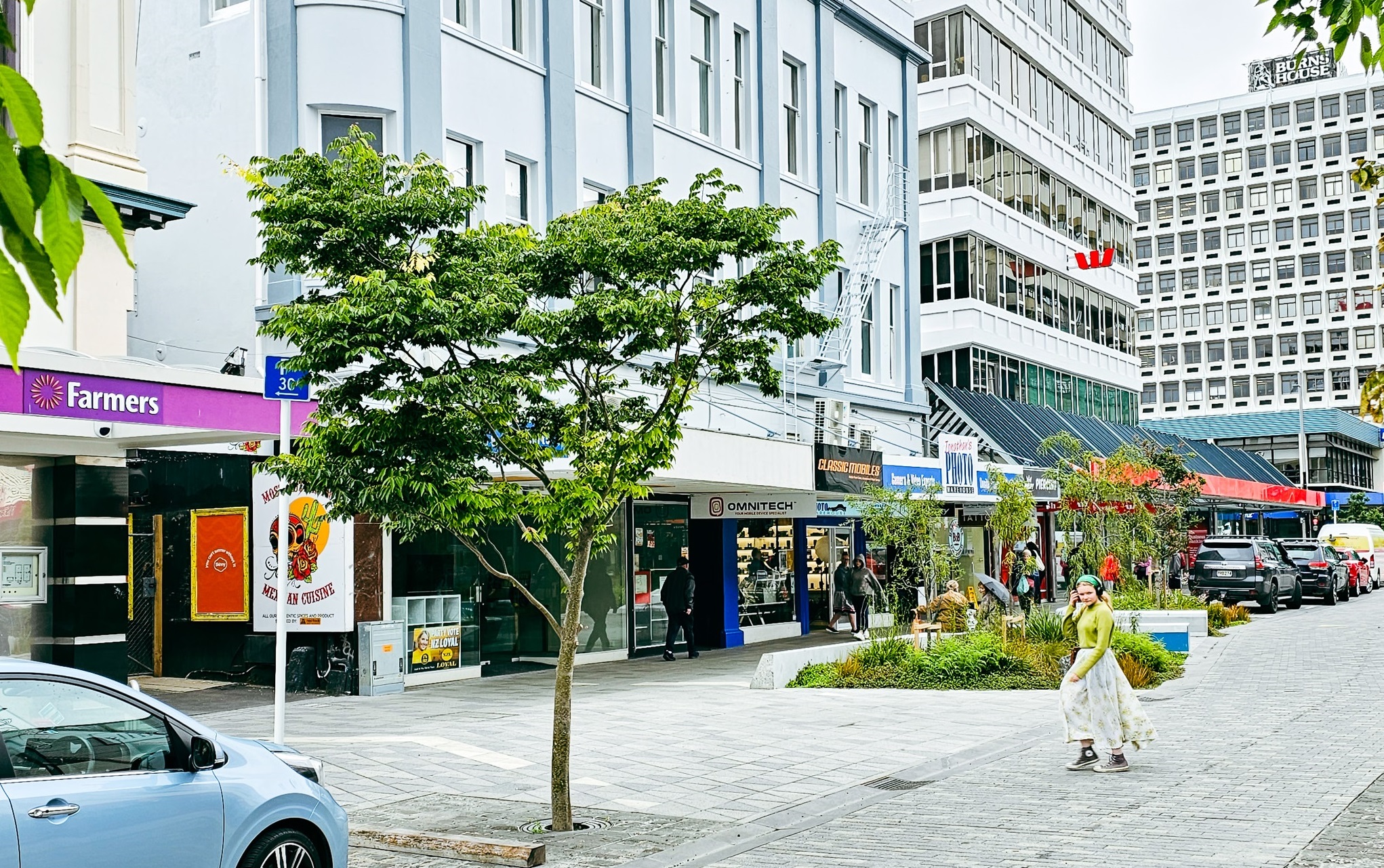 Dunedin Streetscape | Easy Big Trees| New Zealand