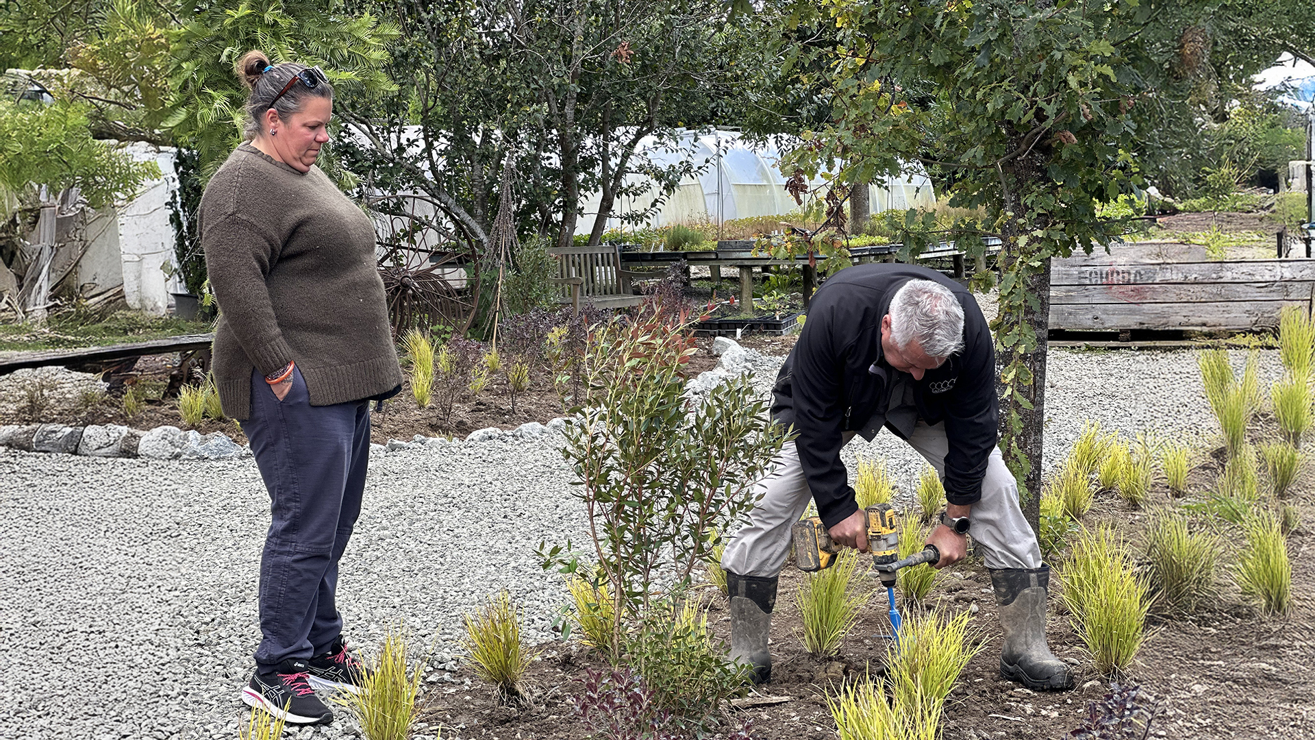Workshops Archives - Easy Big Trees