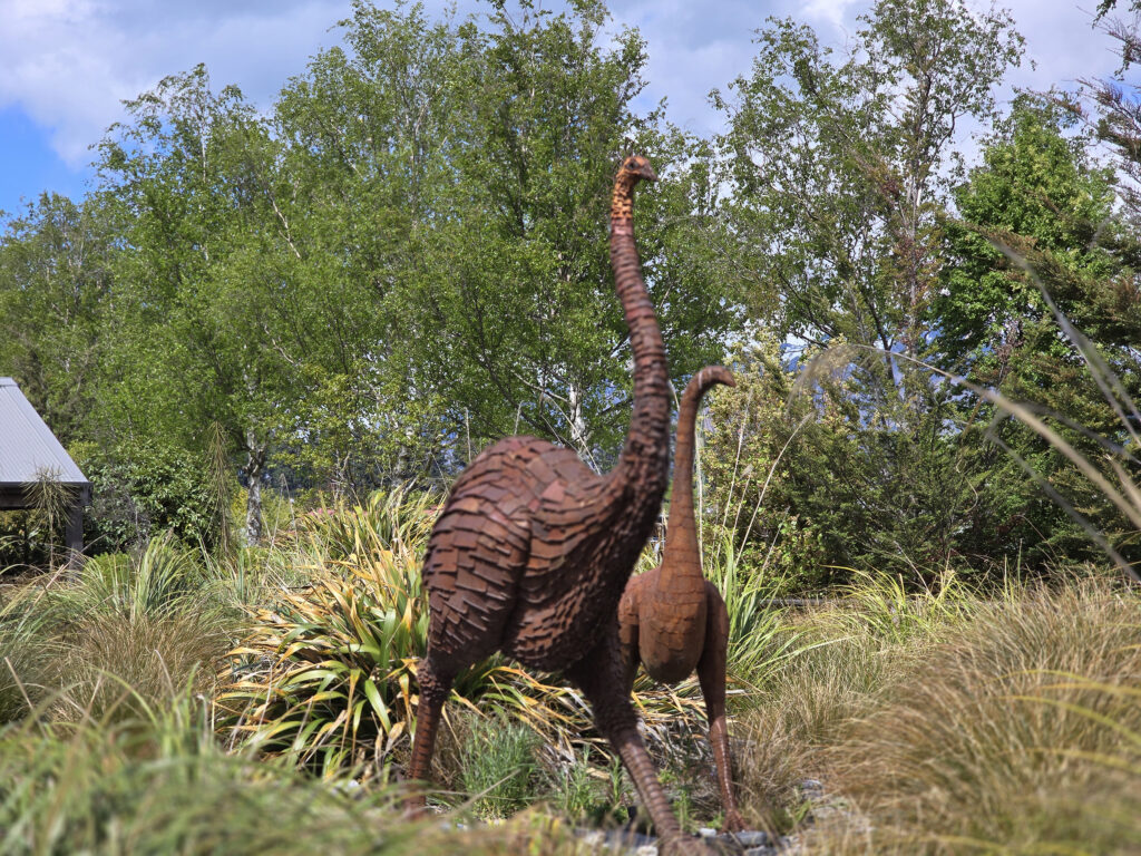 Shaping the Headwaters Eco Lodge | Easy Big Trees